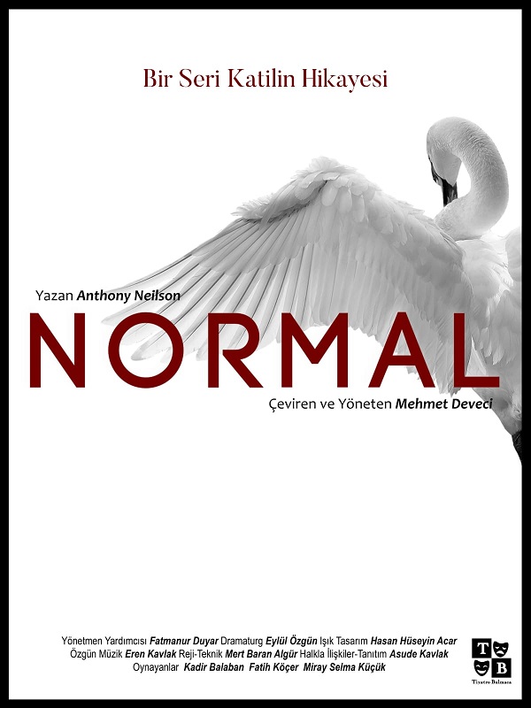 Normal: Suç, hukuk ve toplum üzerine provokatif bir oyun - sahneden.net